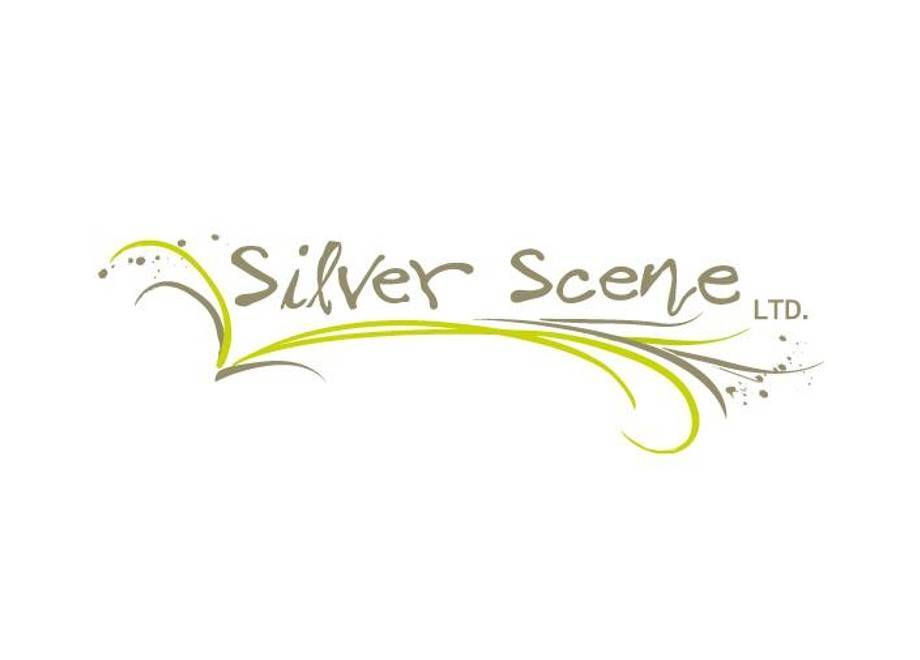 Silver Scene logo - Bristol Shopping Quarter